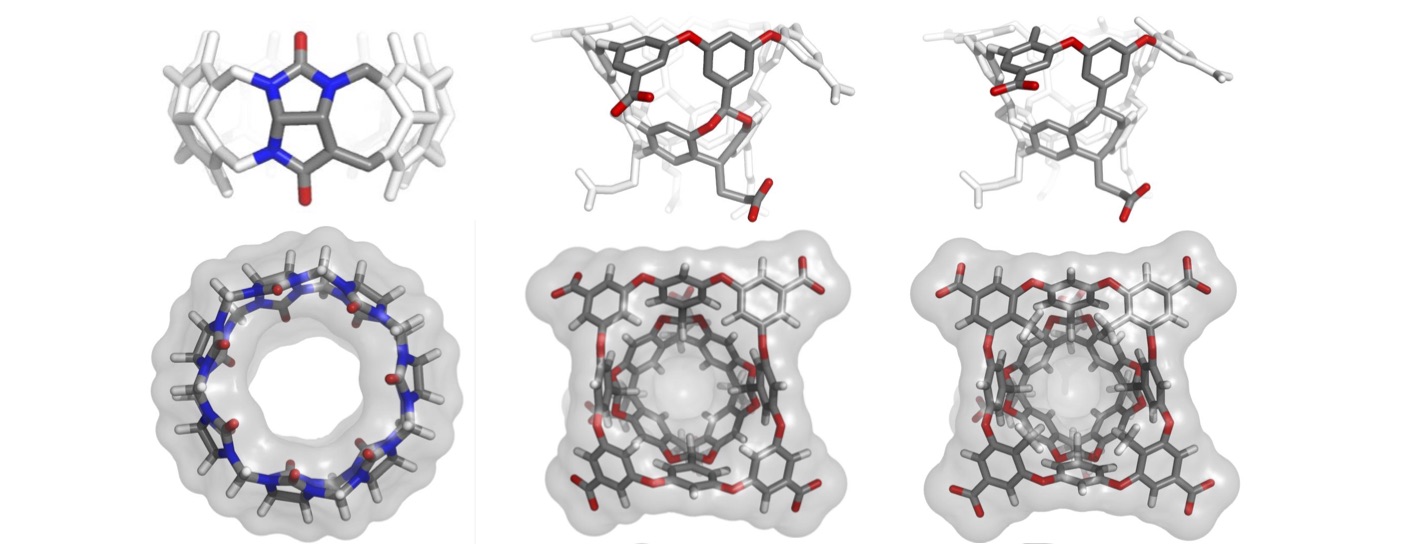 The SAMPL challenges SAMPL